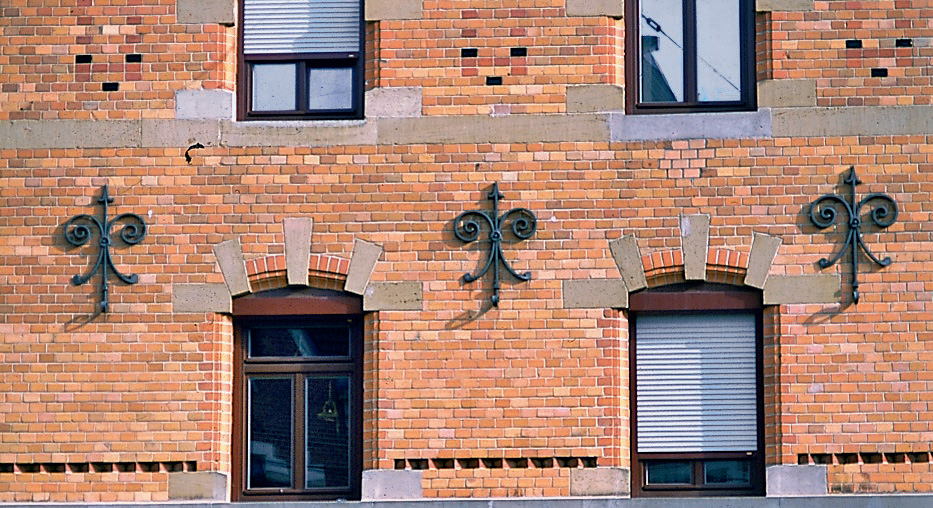 Maueranker – Denkmalstiftung Baden-Württemberg